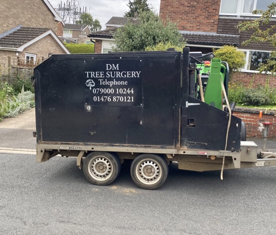DM Tree Surgery - Belvoir Life